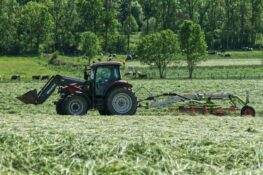 Comment numéroter les pages sur Google Docs - Tout Sur Google